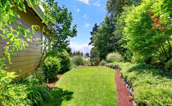 Is It OK to Plant Tall-Growing Plants Near My Generator? | Generator ...